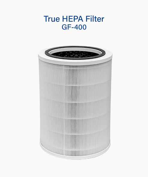True Hepa Filter (GF-400) – GFC