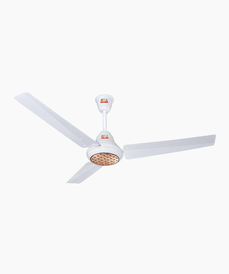 Ceiling Fan Inverter – GFC